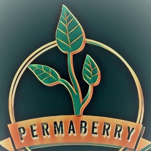 Perma Berry | Cap ou pas cap